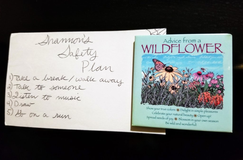 Safety Plan Idea for Kids and Teens - Shannon Mick NCC, LPC