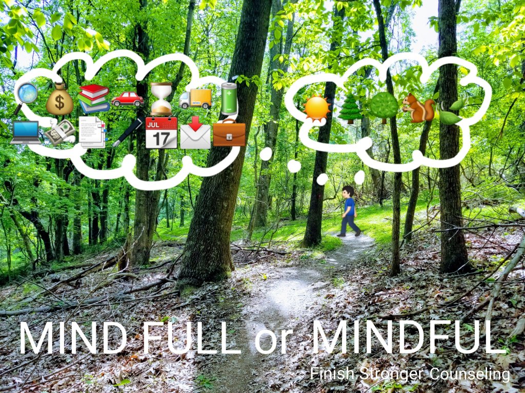 Mindfulness Walk Activity - Shannon Mick NCC, LPC